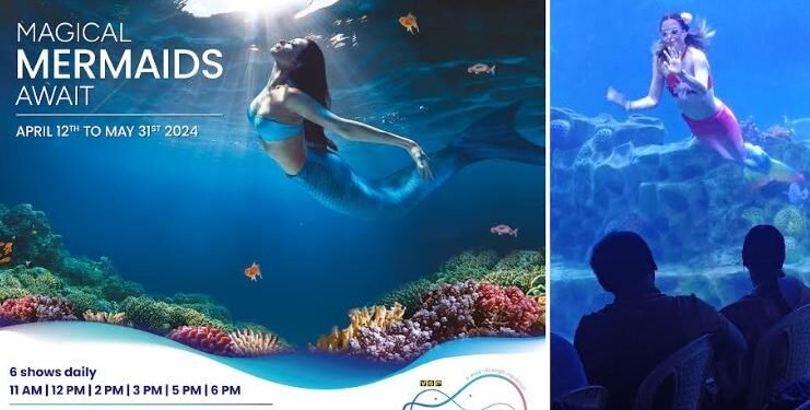 VGP Marine Kingdom Brings First-Ever Mermaid Show to Chennai - Rajpath ...